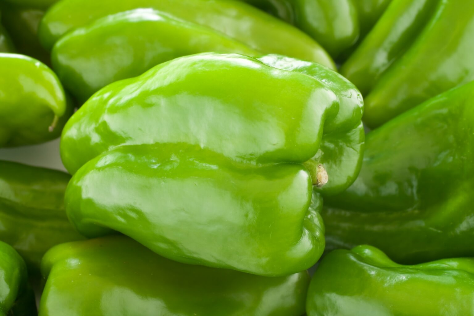 宮崎県産のピーマンならアグリピーマン橋口